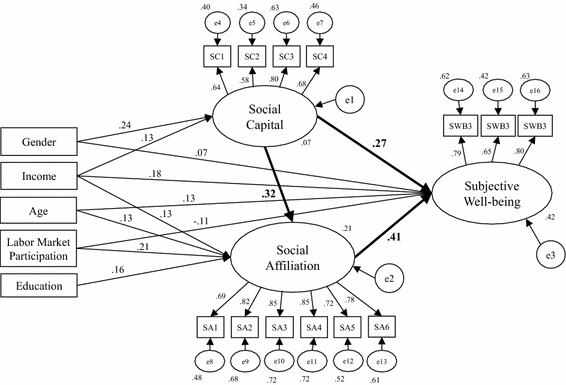 Analyzing the Relationship Between Social Capital and Subjective Well ...
