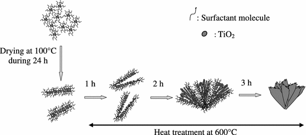 Characterization of a New TiO2 Nanoflower Prepared by the Sol–Gel ...