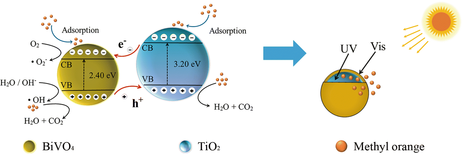 Photocatalytic Degradation Mechanism of the Visible-Light Responsive ...