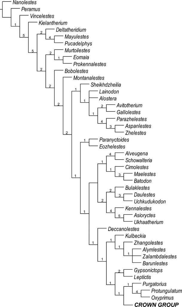 Rooting Around the Eutherian Family Tree: the Origin and Relations of ...