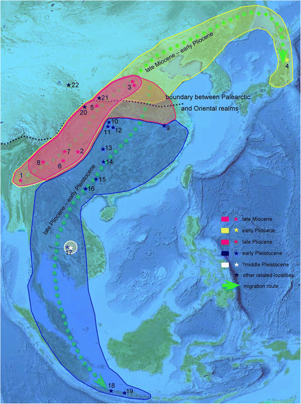 The Oldest Cranium of Sinomastodon (Proboscidea, Gomphotheriidae ...