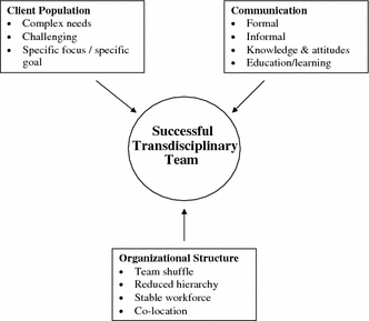 Transdisciplinary Teamwork: The Experience of Clinicians at a ...