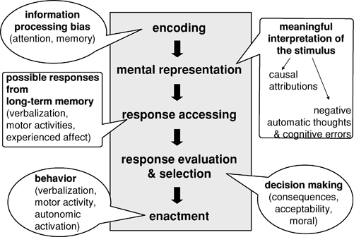 Testing the Causal Mediation Component of Dodge's Social Information ...