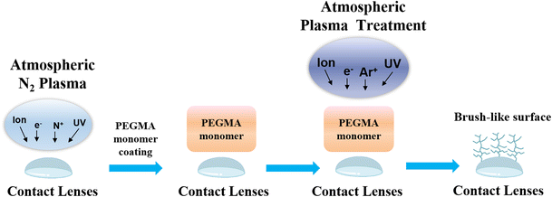 Biopolymer brushes grown on PDMS contact lenses by in situ atmospheric ...