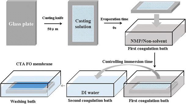 Morphological controlling of CTA forward osmosis membrane using ...