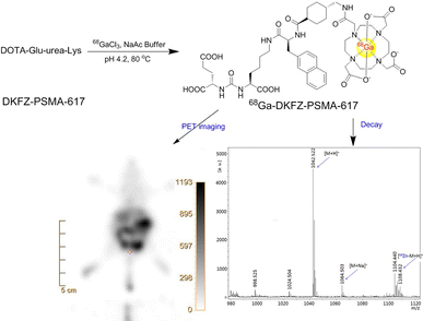 Radio-synthesis and mass spectrometry analysis of 68Ga-DKFZ-PSMA-617 ...