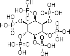 Formation of functional phosphosilicate gels from phytic acid and ...