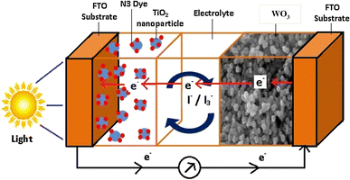 Synthesis and characterizations of large surface tungsten oxide ...