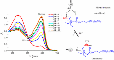 Sol–gel entrapment of bromothymol blue (BTB) indicator in the presence ...