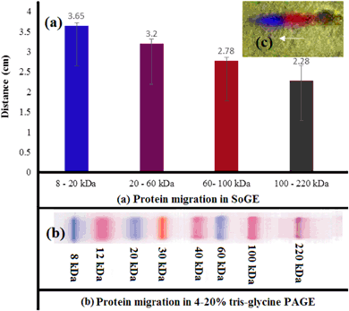 Modified sol–gel processed silica matrix for gel electrophoresis applications | SpringerLink