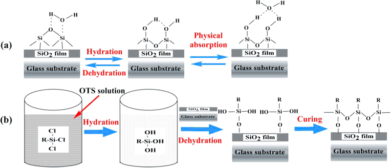 Anti-reflection OTS-treated SiO2 thin films with super-hydrophobic ...