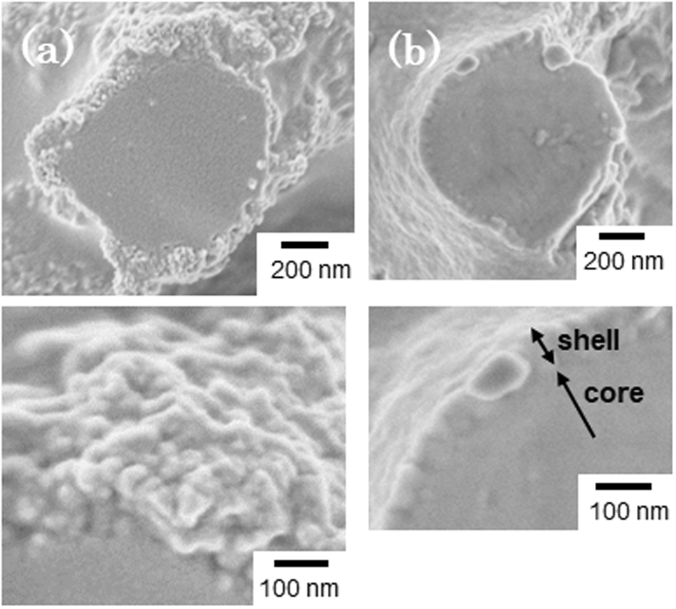 Preparation of surface-coated macroporous silica (core-shell silica ...