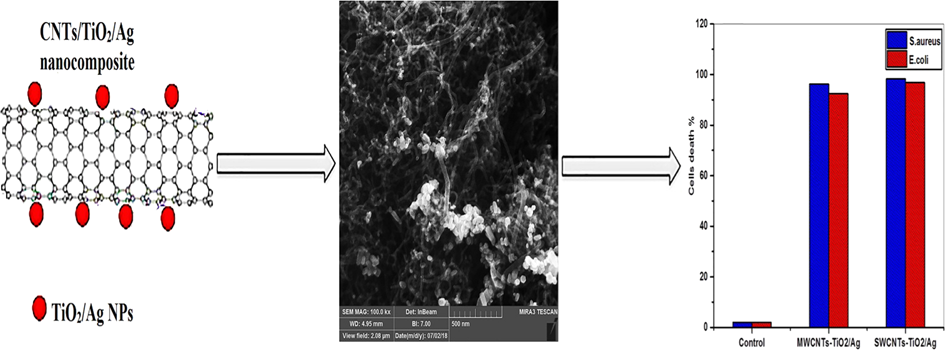 Synthesis of Ag-doped TiO2 nanoparticles coated with carbon nanotubes ...