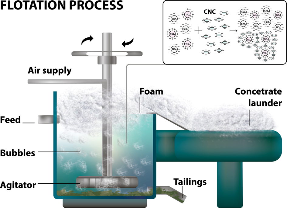 The effect of cellulose nanocrystals and pH value on the flotation ...