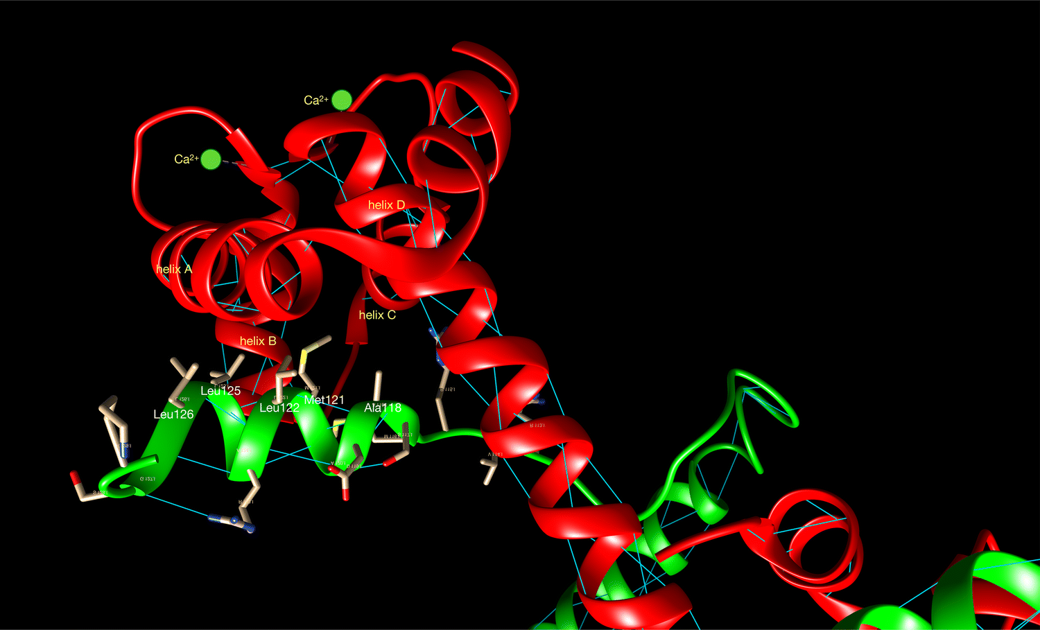 Troponin structure and function: a view of recent progress | SpringerLink