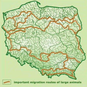 The Pan European Ecological Network: PEEN | SpringerLink