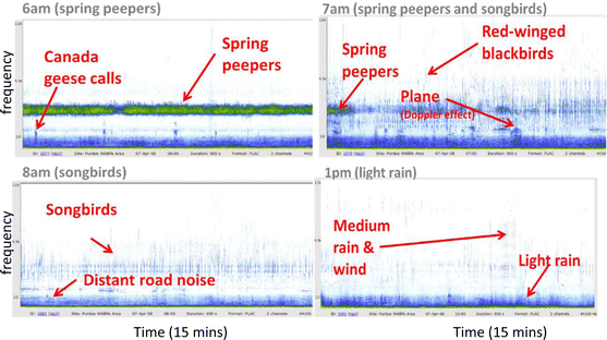 What is soundscape ecology? An introduction and overview of an emerging ...