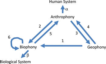 What is soundscape ecology? An introduction and overview of an emerging ...