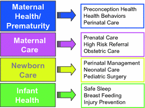 Perinatal Periods of Risk: A Community Approach for Using Data to ...