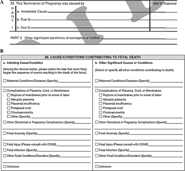Understanding Perinatal Death: A Systematic Analysis of New York City ...