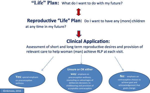 Reproductive Life Planning: Raising the Questions | SpringerLink