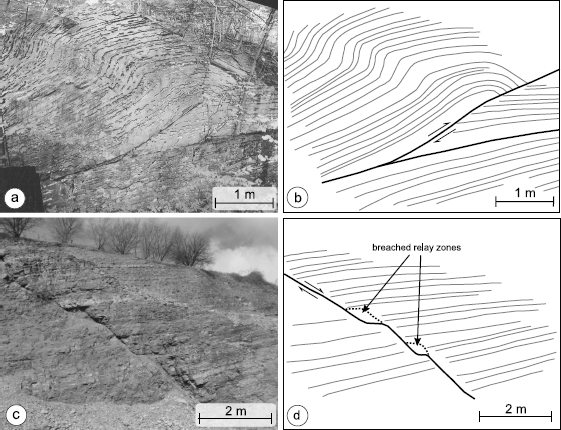 Strain Associated with the Fault-Parallel Flow Algorithm During ...