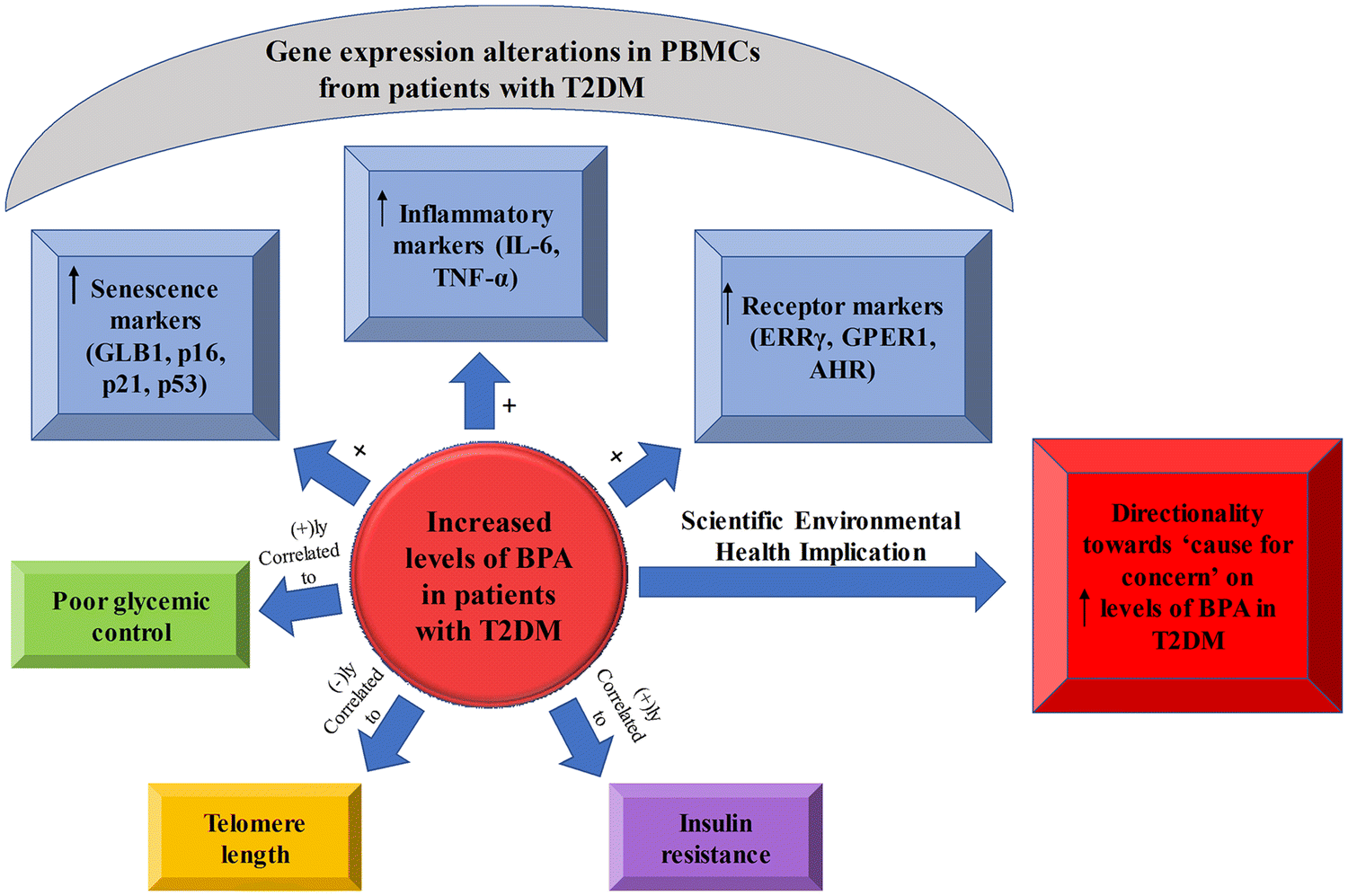 Novel insights of elevated systemic levels of bisphenol-A (BPA) linked ...