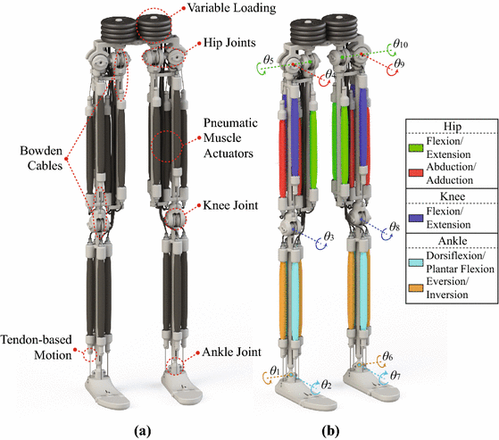 HUmanoid Robotic Leg via pneumatic muscle actuators: implementation and ...
