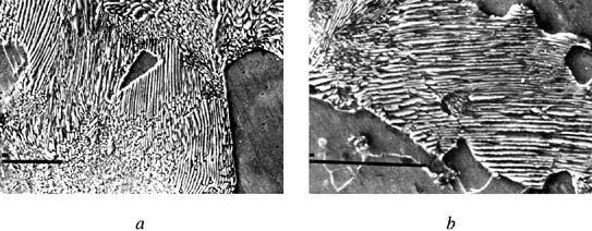 Effect of ferrite-pearlite microstructure on structural steel ...