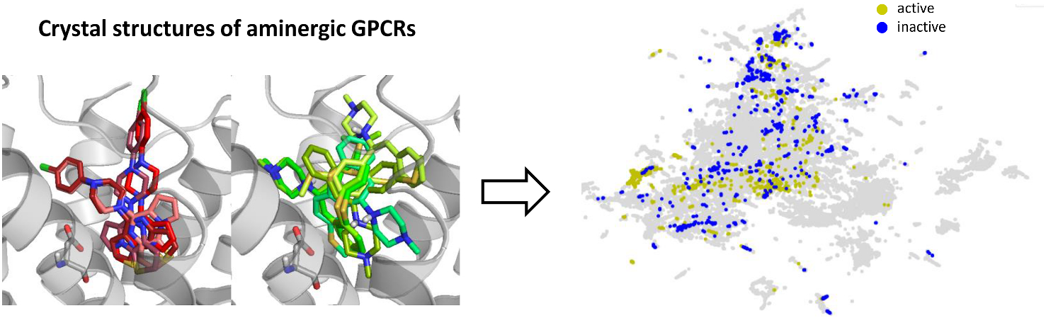 Three-dimensional descriptors for aminergic GPCRs: dependence on ...