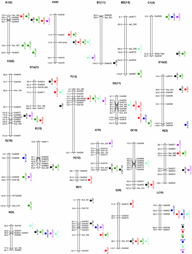 Association mapping for seed size and shape traits in soybean cultivars | SpringerLink