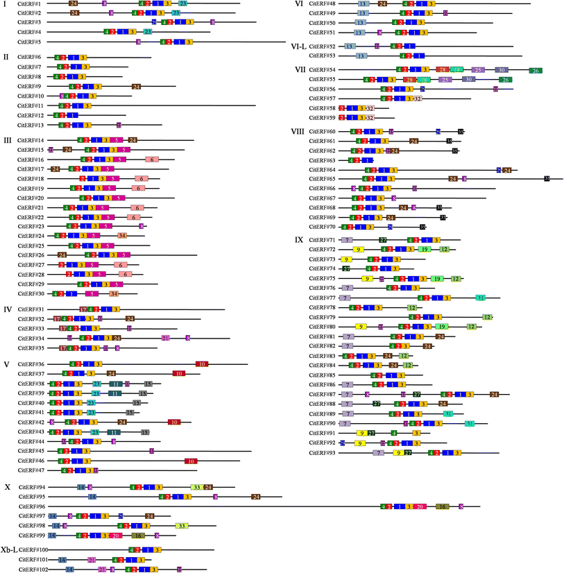 Isolation, classification and transcription profiles of the AP2/ERF ...