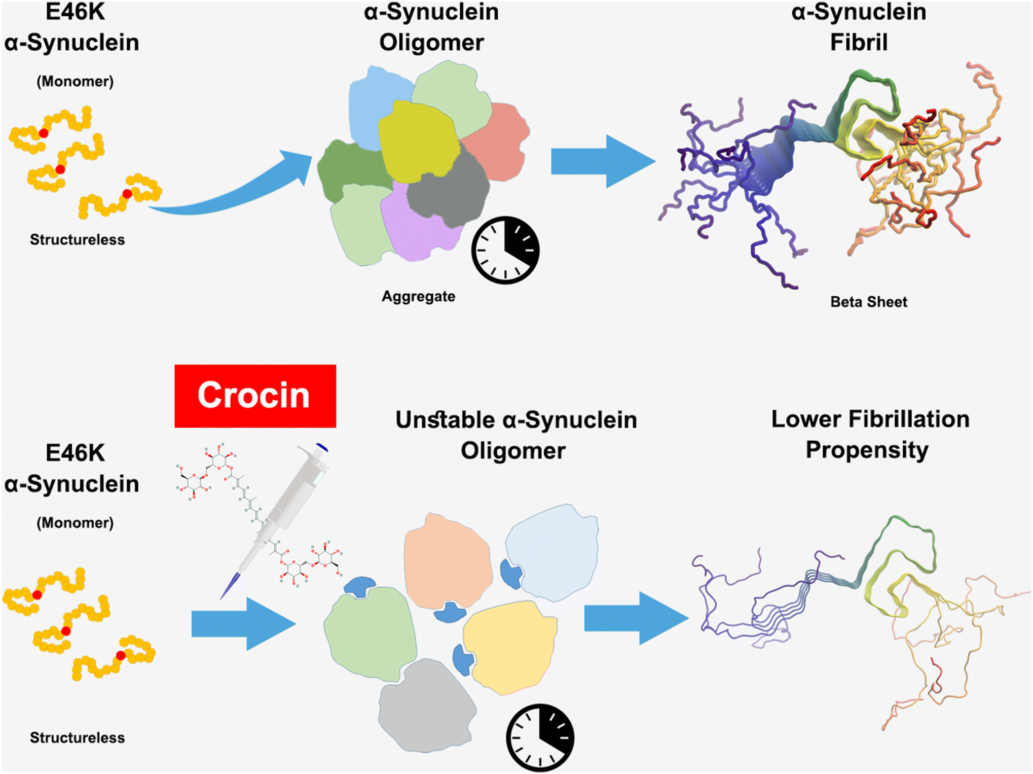 In-vitro and in-silico investigation of protective mechanisms of crocin ...