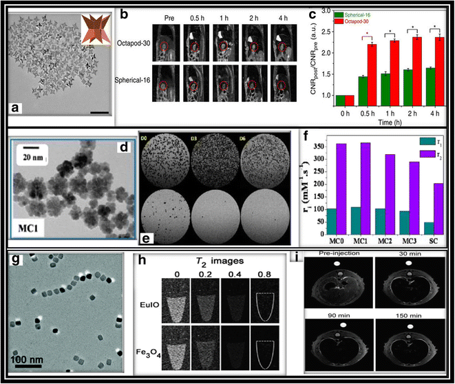 MRI based on iron oxide nanoparticles contrast agents: effect of ...