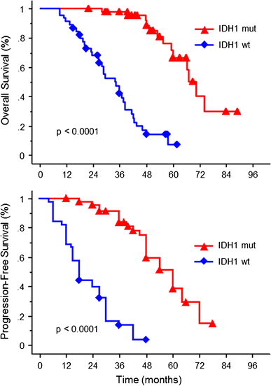 IDH1 mutation and MGMT methylation status predict survival in patients with anaplastic ...