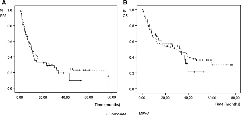 Rituximab, methotrexate, procarbazine, vincristine and intensified ...