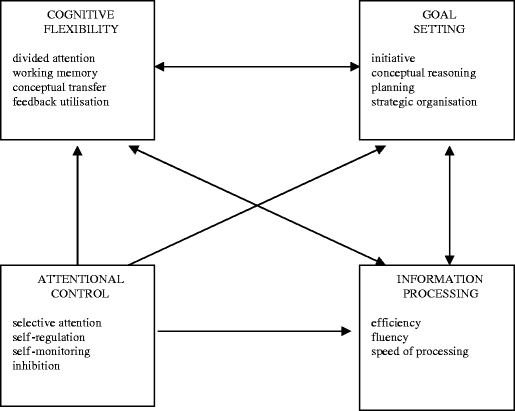 Assessing Executive Function in Preschoolers | SpringerLink