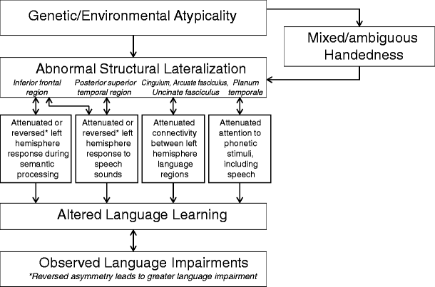 Atypicalities in Cortical Structure, Handedness, and Functional ...