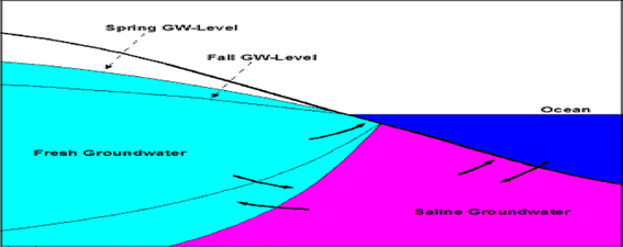 Submarine groundwater discharge (SGWD): an unseen yet potentially ...