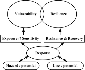Rethinking the relationships of vulnerability, resilience, and ...