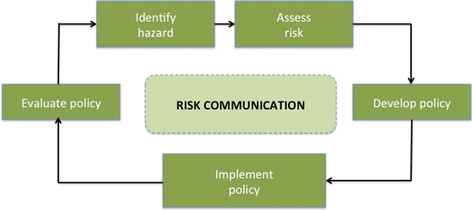 Rethinking communication in risk interpretation and action | SpringerLink