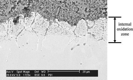 Grain-Size Effects on the High-Temperature Oxidation Behaviour of ...