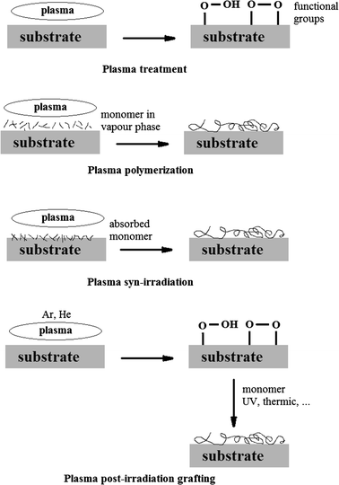 Plasma Surface Modification of Biomedical Polymers: Influence on Cell ...