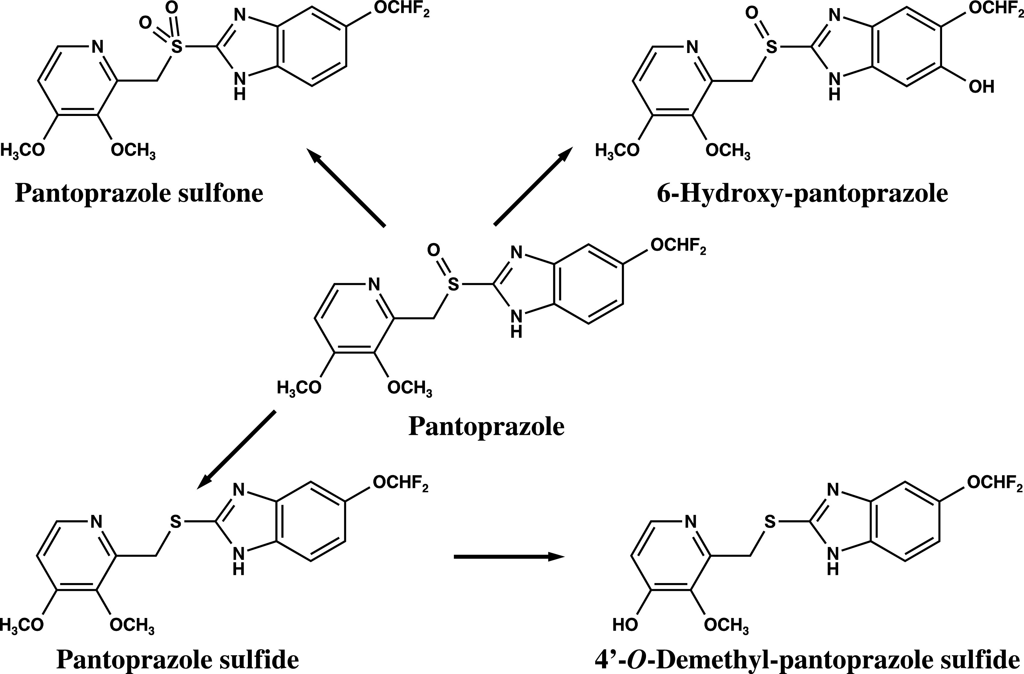 Pharmacokinetic Differences between Pantoprazole Enantiomers in Rats ...