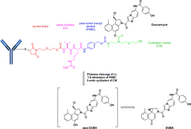 Current ADC Linker Chemistry | SpringerLink