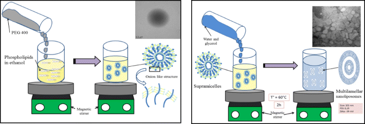 Diclofenac Loaded Lipid Nanovesicles Prepared by Double Solvent ...