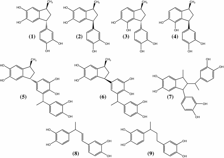 Role of hydroxycinnamates in coffee melanoidin formation | SpringerLink