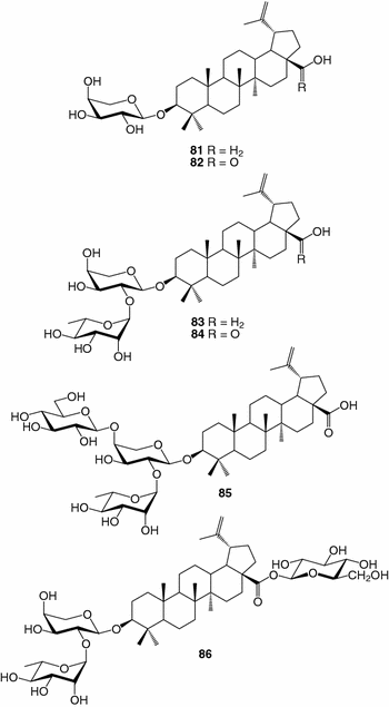 Advances in the synthesis and pharmacological activity of lupane-type ...