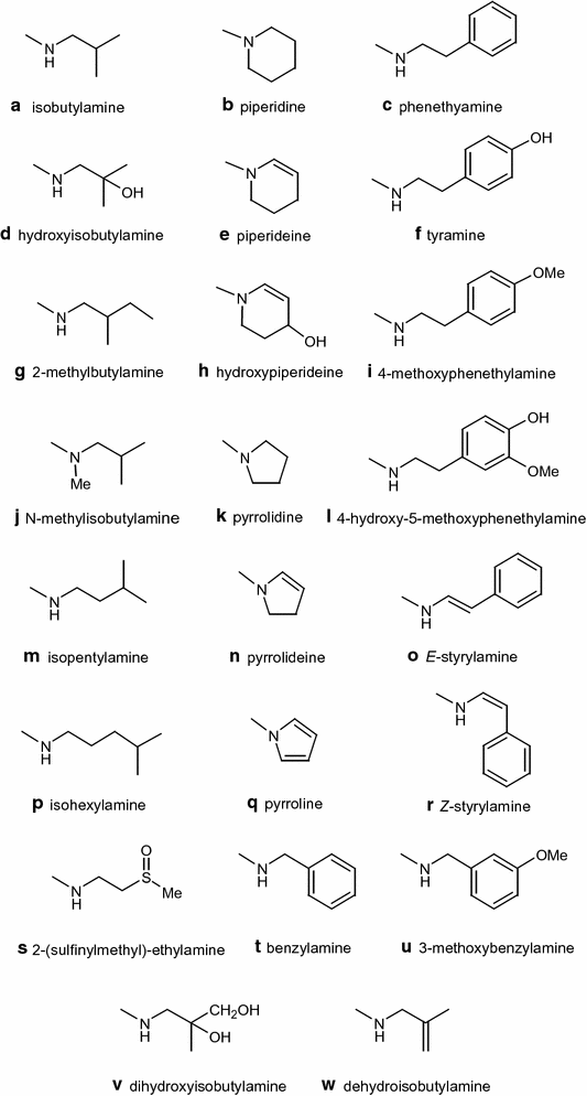 Alkamides: a critical reconsideration of a multifunctional class of ...