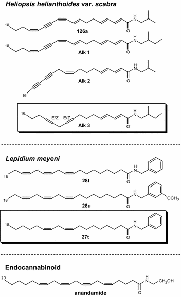 Alkamides: a critical reconsideration of a multifunctional class of ...